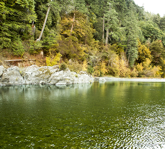 Nature's own emerald canvas where the Chetco River paints masterpieces with light and shadow. Oregon doesn't just show off here—it performs.