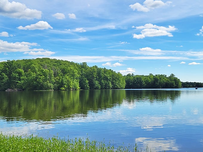 Mirror, mirror on the lake—Pinchot's glassy waters reflect Pennsylvania's lush greenery like nature's own Instagram filter, no editing required.