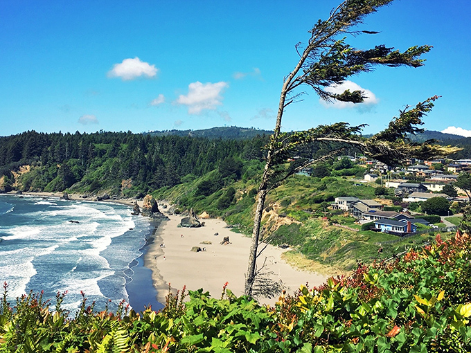 Perched on California's edge like nature's balcony, Trinidad offers front-row seats to the Pacific's greatest hits—waves, cliffs, and endless horizon included.