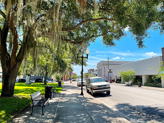 Spanish moss drapes over Palatka's downtown like nature's own awnings, creating shade that feels like a gentle whisper from Old Florida.
