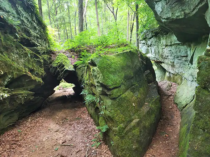 Nature's architectural marvel – moss-covered sandstone formations create natural tunnels that feel like stepping into a fantasy novel's secret passage.