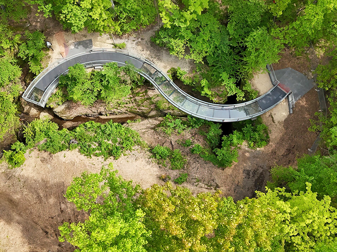 Nature's welcome mat unfurls in vibrant green as this metal footbridge invites you into a world where time seems to slow and worries evaporate into the leafy canopy.