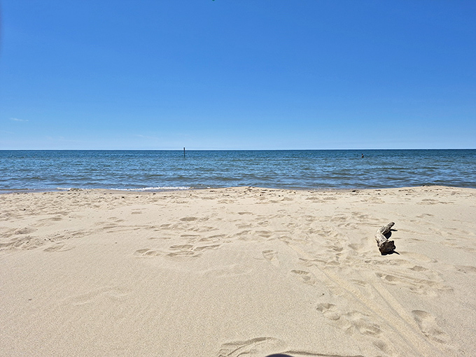 Pure Michigan perfection: where the horizon meets infinity and your worries dissolve faster than an ice cream cone in July heat.