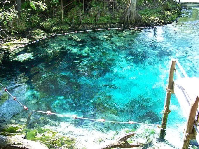 The entrance to paradise isn't pearly gates, but rather this crystalline blue oasis where Florida reveals its true magic.