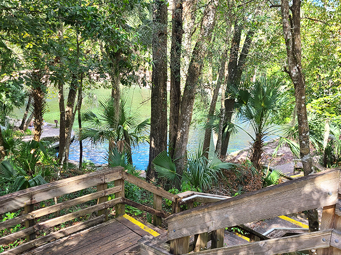 A wooden staircase descends to emerald waters framed by palms and pines – nature's version of a grand entrance to paradise.