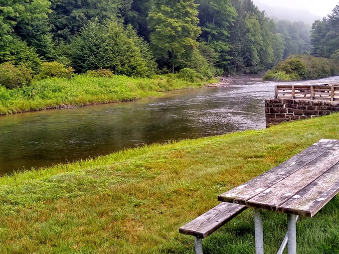 Nature's perfect postcard: the East Branch Clarion River meanders through Bendigo State Park like it's in absolutely no hurry whatsoever. Neither should you be.