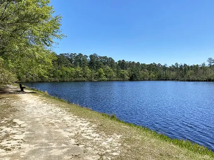 Mother Nature's mirror game is strong here. The still waters of Aiken State Park reflect towering pines and blue skies, creating a double dose of serenity.