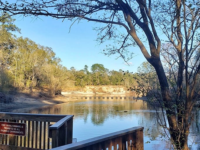 Nature's infinity pool awaits at Troy Springs, where the crystalline waters reflect Florida's blue skies like a mirror designed by Mother Nature herself. 