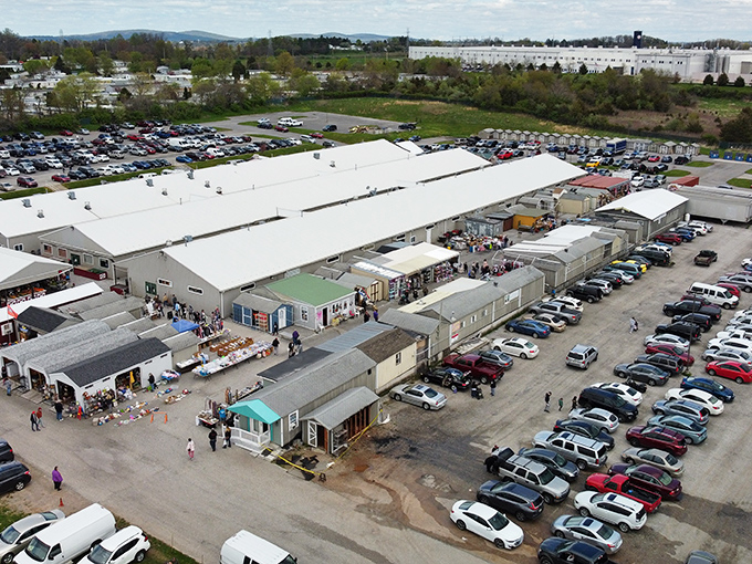 Treasure hunters navigate the outdoor market under blue canopies, where one person's castoffs become another's prized discoveries.