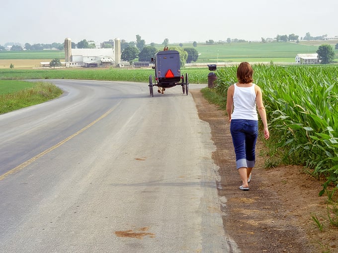 Where time travel requires no DeLorean: An Amish buggy waits as its passenger completes errands, a scene unchanged for generations in Bird-in-Hand.