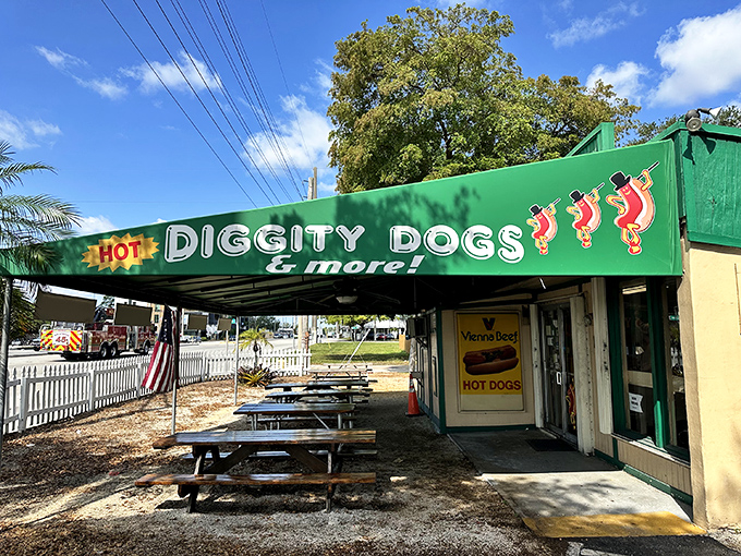 The iconic green awning of Hot Diggity Dogs beckons like a beacon of hope for the hungry. Simple picnic tables promise no pretense—just delicious satisfaction ahead.