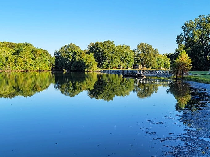 Mirror, mirror on the pond—Beall Woods' pristine waters reflect the ancient forest canopy like nature's own Instagram filter.