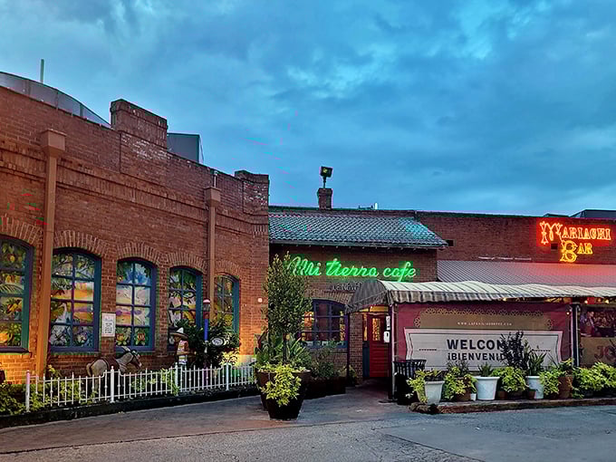 The neon signs of Mi Tierra glow like beacons in the twilight, promising culinary salvation to hungry souls wandering San Antonio's Market Square. No password required—just an appetite.