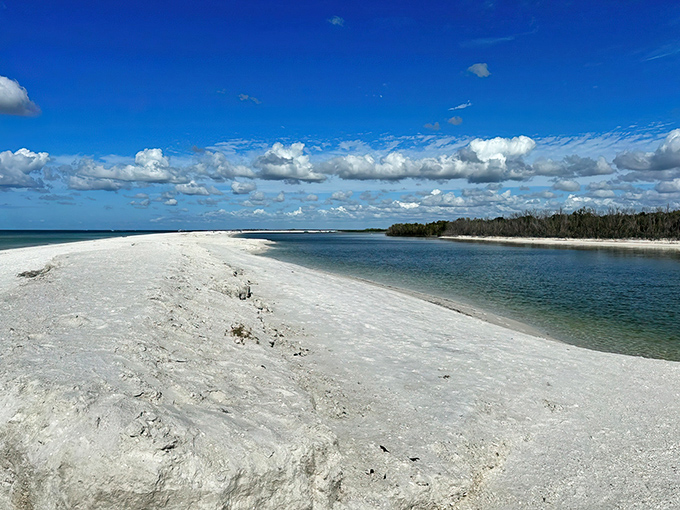 The pristine shoreline stretches toward infinity, where sky meets Gulf in a watercolor masterpiece. Mother Nature showing off her best work.
