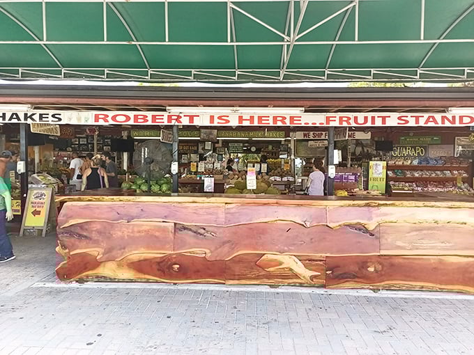 This roadside paradise proves that the best treasures hide behind the most unassuming facades.
