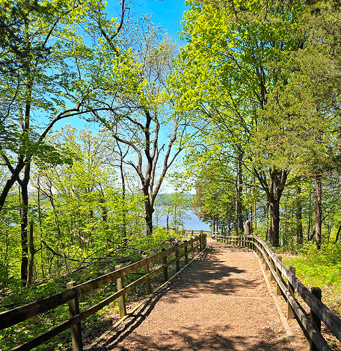 Nature's welcome mat unfurls along this sun-dappled trail, where the Mississippi River peeks through the trees like a shy neighbor wondering if you brought snacks.