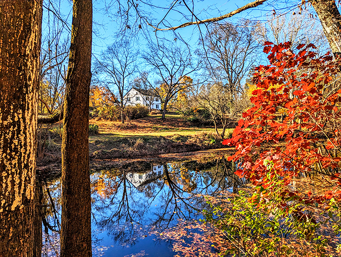 Nature's masterpiece unfolds at Evansburg State Park, where Pennsylvania's beauty reaches cinematic proportions.