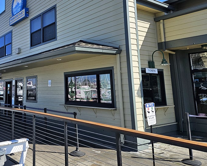 The unassuming exterior of Mitch's Seafood proves once again that the best coastal treasures aren't dressed to impress—they're too busy perfecting what's on your plate.