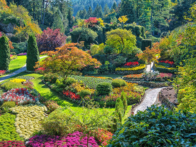 Welcome to paradise, where Mother Nature decided to show off her interior decorating skills.