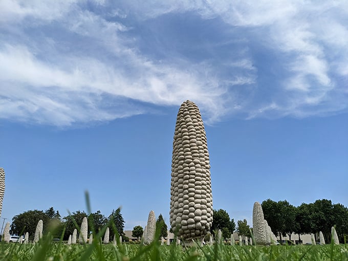 Towering concrete corn stalks reach skyward under a brilliant blue Ohio sky, like silent sentinels guarding the suburbs of Dublin.