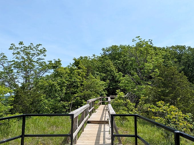 The wooden boardwalk beckons through sun-dappled greenery, promising adventure without mentioning the quad-burning climb that awaits you later.