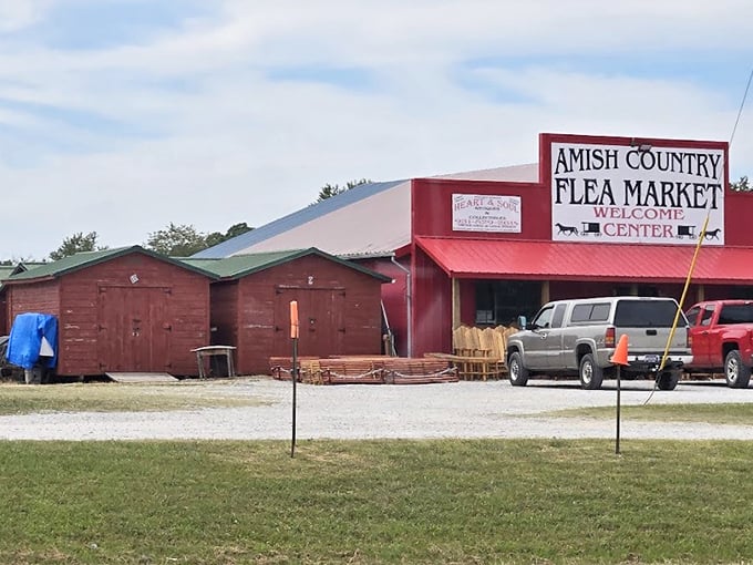 The Amish Country Flea Market beckons with the promise of handcrafted treasures and unexpected finds that tell stories of Tennessee ingenuity.
