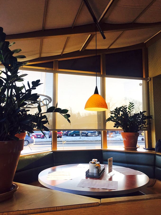 That corner booth bathed in morning light? It's practically begging for coffee conversations that solve world problems or at least plan weekend adventures. 