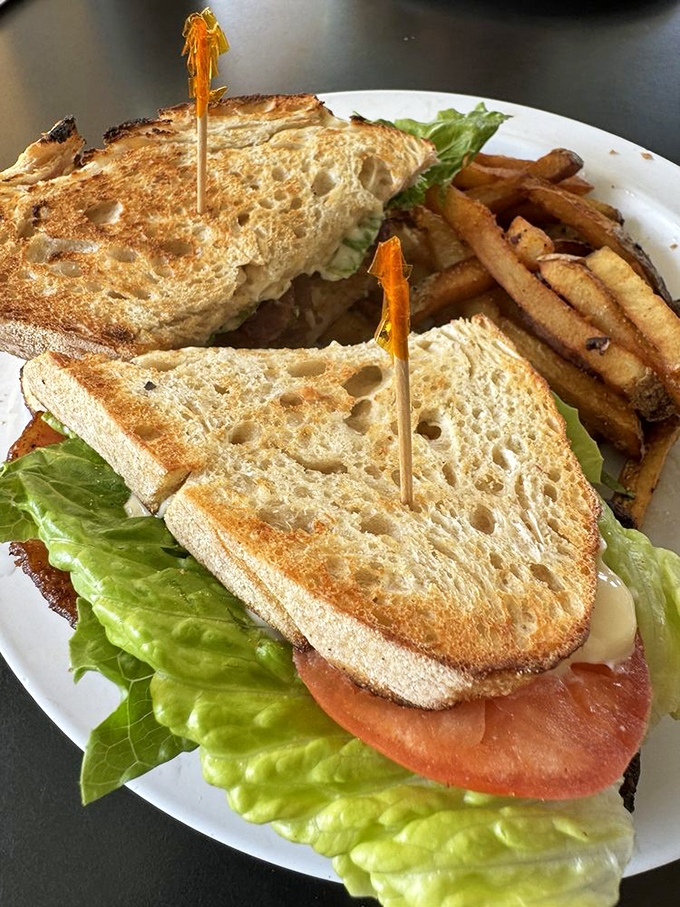 This isn't just a sandwich; it's architectural perfection—crispy toast, garden-fresh lettuce, and tomatoes that actually taste like tomatoes.