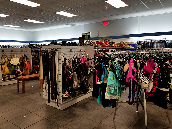 Handbags and swimwear displayed with surprising care. The retail equivalent of a well-organized buffet—everything tempts you.