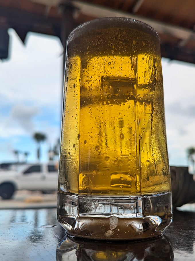 A cold beer catching Florida sunshine through the window—the perfect companion for barbecue that demands to be taken seriously.