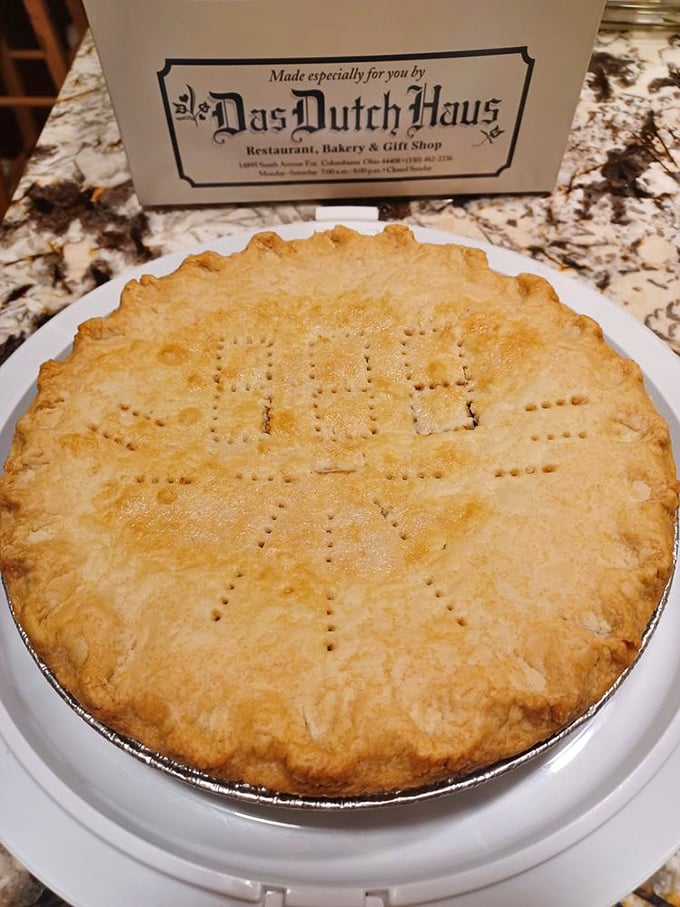 A pie crust crimped with the precision of a Swiss watchmaker. Those steam vents aren't just functional—they're releasing aromas that trigger childhood memories.