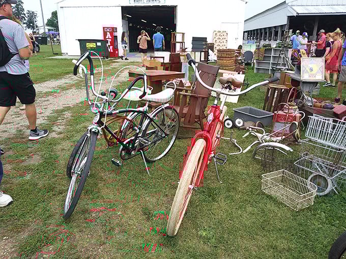 Pedaling through time! These vintage bicycles aren't just transportation—they're rolling sculptures waiting for their next adventure down memory lane.