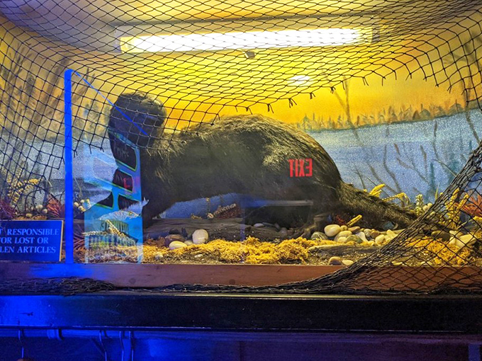 The Black Otter mascot stands guard, ensuring every meal meets the high standards this establishment proudly maintains.