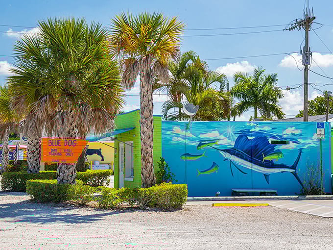 Blue Dog Bar perfectly captures the island vibe – casual enough for flip-flops, memorable enough for Instagram stories.