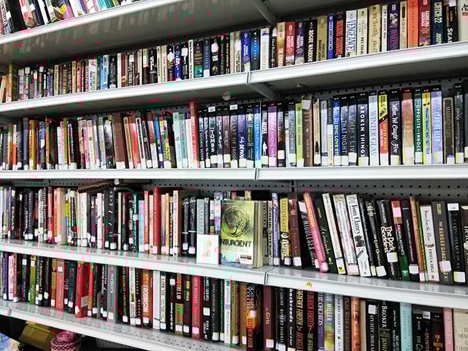 Literary treasures stacked spine-to-spine – bestsellers from yesteryear rubbing covers with classics, each waiting to tell their stories for pocket change prices.