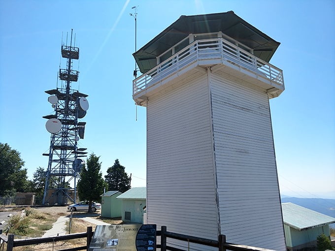 The Boucher Hill Fire Lookout stands sentinel over the forest, spotting trouble before it starts—like your grandmother at a family reunion.
