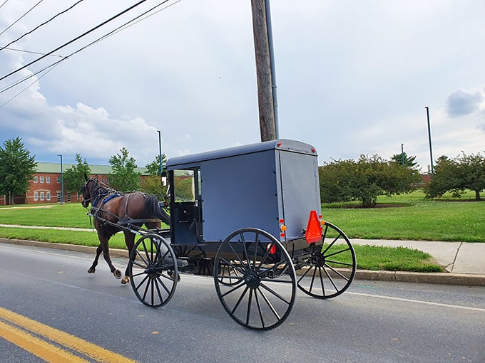 Rush hour, Amish Country style: This sleek buggy might not have Bluetooth connectivity, but it offers something better—actual connection to the world around you.