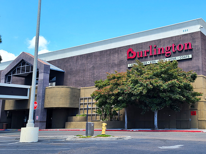 Burlington offers brand-name shopping without the brand-name prices—perfect for the savvy retiree who knows value when they see it.