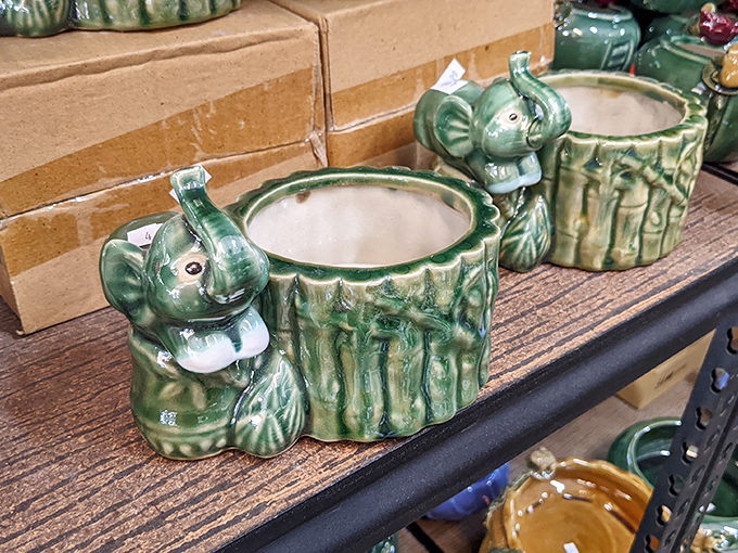 Ceramic elephant planters prove that quirky home décor doesn't have to cost mammoth-sized money anymore.