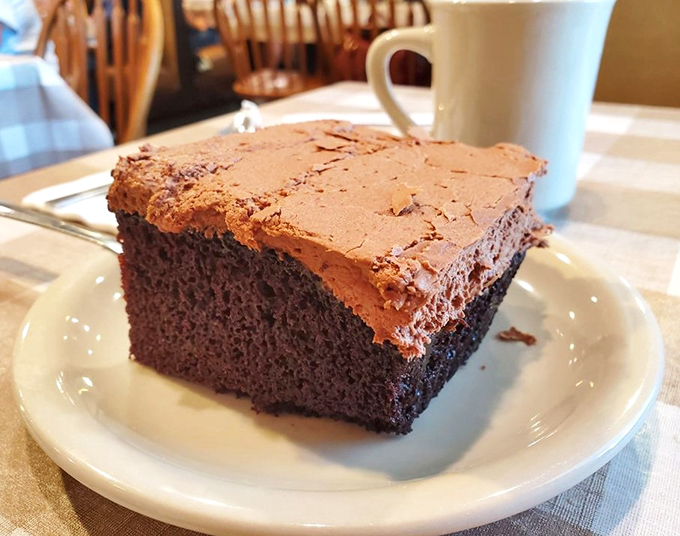 Chocolate cake so moist and rich it deserves its own zip code. This isn't dessert—it's therapy you can eat with a fork. 