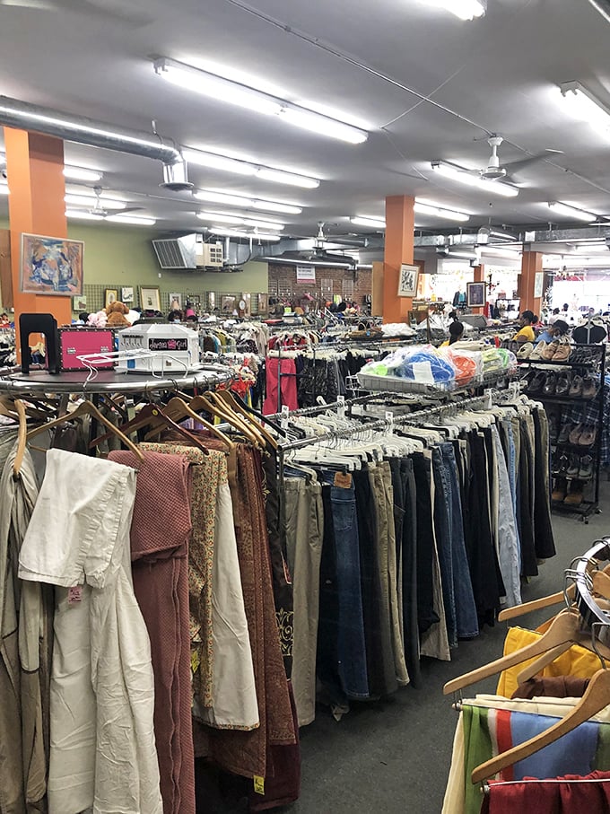 Denim democracy in action—pants of every era hanging together in peaceful coexistence, waiting for their second chance at fashion glory.