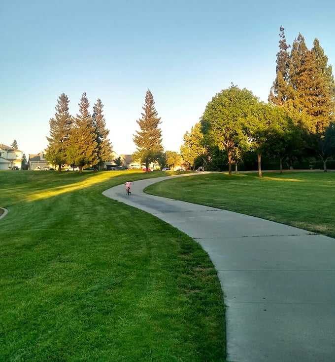 Coffee-Claratina Park's winding paths invite morning strolls where the only rush hour is deciding whether to walk clockwise or counter-clockwise today.