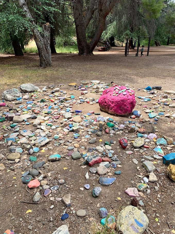 The happiest rocks on earth – a kaleidoscope of painted stones creating an impromptu art installation where nature meets human creativity.
