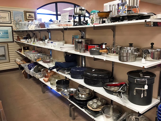 Professional chefs often sneak into thrift stores for these hidden gems—quality cookware with stories to tell and meals yet to make.