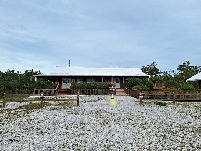 This unassuming building houses stories of the tiny Key deer—proof that Florida's most charming residents aren't all retirees from Ohio.