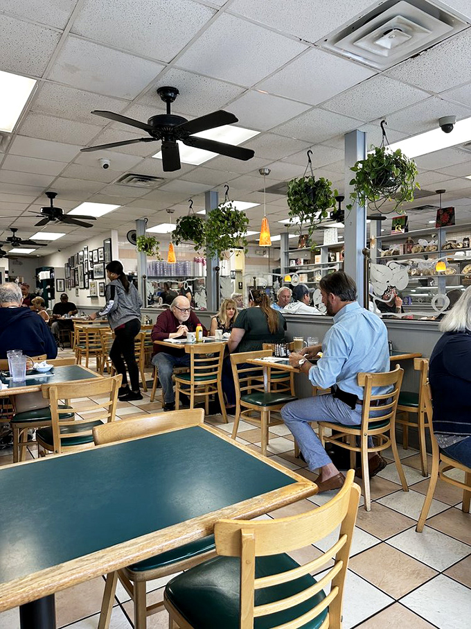 Hanging plants and happy diners create the quintessential deli atmosphere—where breakfast isn't just a meal, it's a community event.