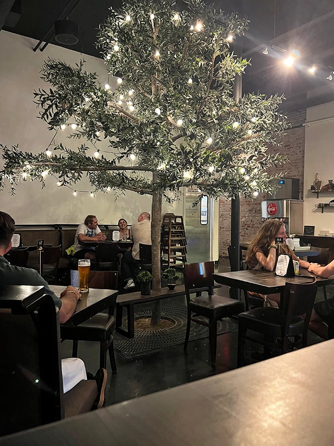 That olive tree isn't just decoration—it's the heart of the restaurant, strung with lights like a year-round celebration of Mediterranean flavors.