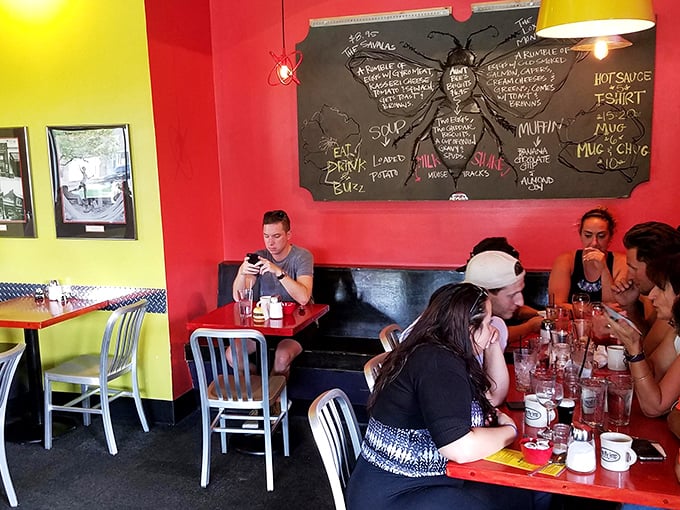 The chalkboard fly diagram isn't just wall art—it's a quirky manifesto that perfectly captures this diner's playful, intellectual spirit.