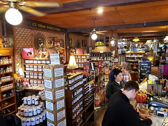The kind of cozy atmosphere where strangers become friends over shared excitement about pickle discoveries.