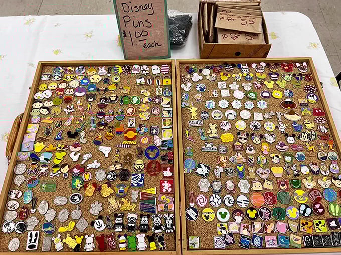 Disney pin collection so vast and colorful it's like Mickey exploded into a thousand tiny collectible pieces. Childhood memories at just a dollar each. 